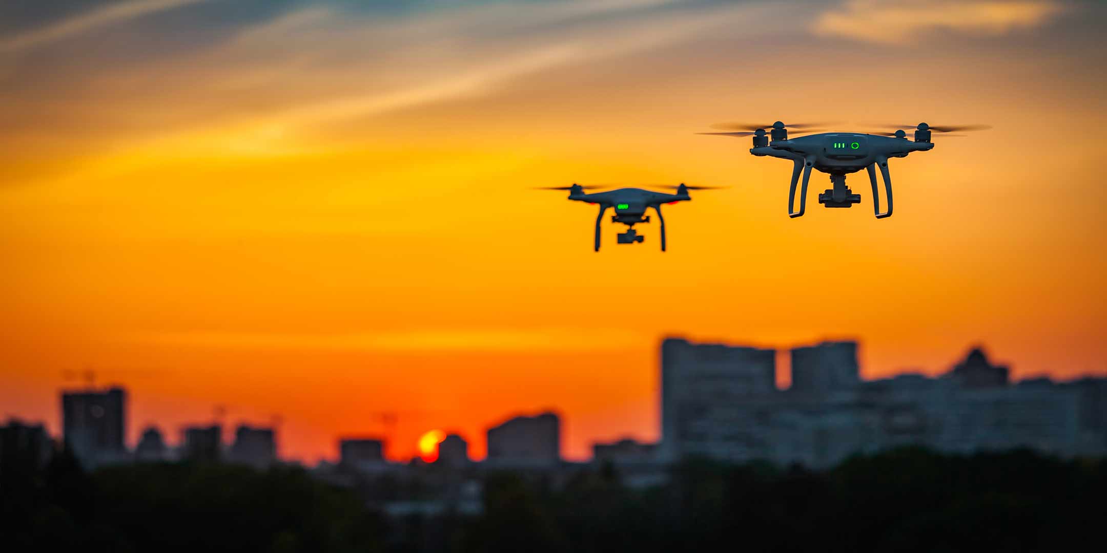 Technology and the Future of Democracy with Author Sue Halpern ...