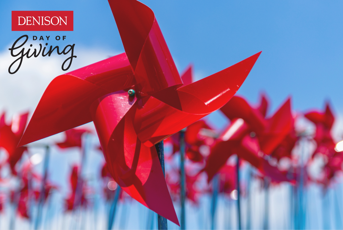 Day of Giving Ambassador Toolkit - Denison University Alumni